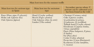 Truffle Species | Types of Truffles | Carolina Truffieres
