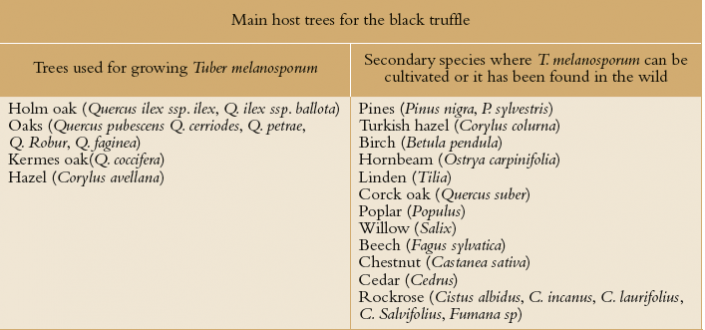 Truffle Species | Types of Truffles | Carolina Truffieres