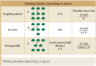 Planting_Densities_T_Mel - Carolina Truffieres