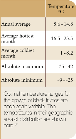Truffle Species | Types of Truffles | Carolina Truffieres